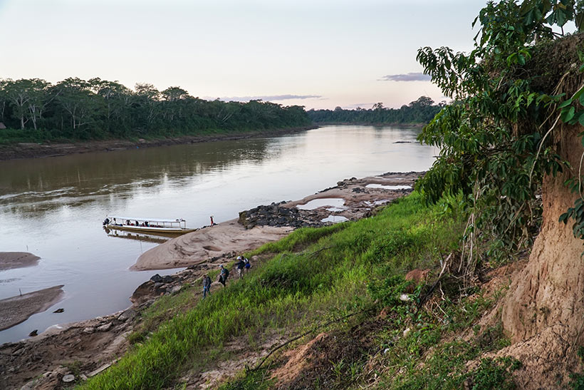 Amazon Rainforest Tambopata River 3